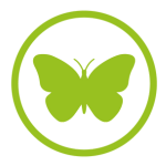 Biobased bouwen met bamboe