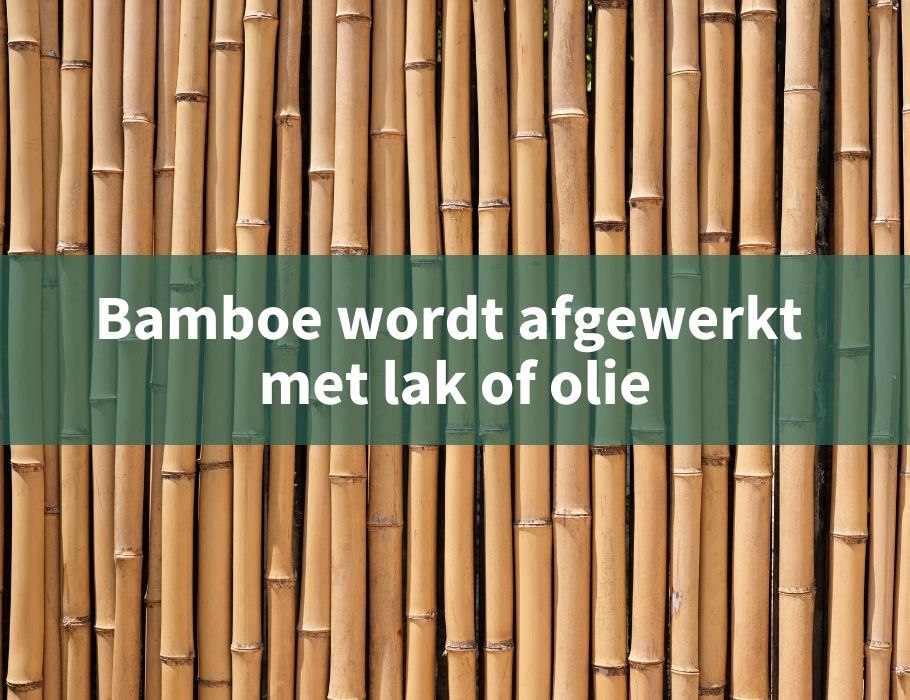 Biobased bouwen met bamboe