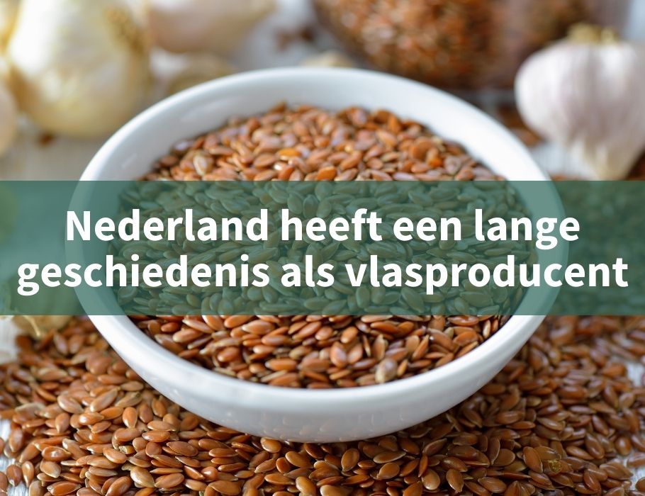 Vlas als biobased bouwmateriaal